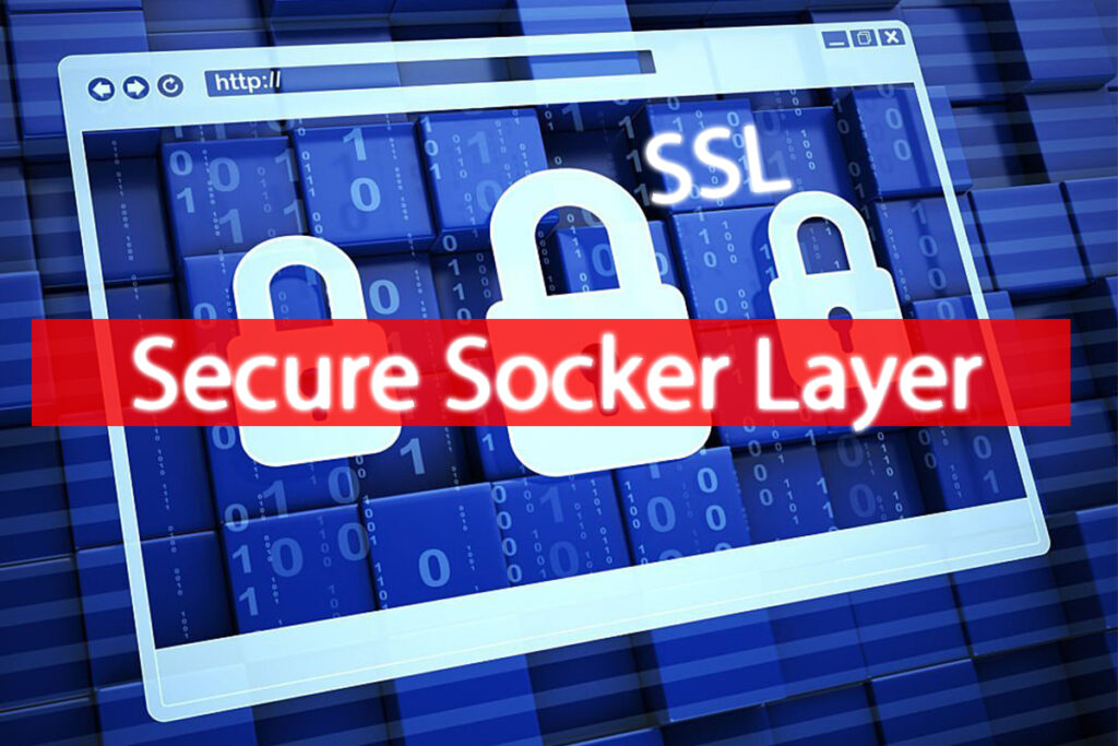 Service : Website - Novaplus Marketing